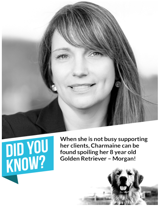 Your Team - Bluedrop ISM